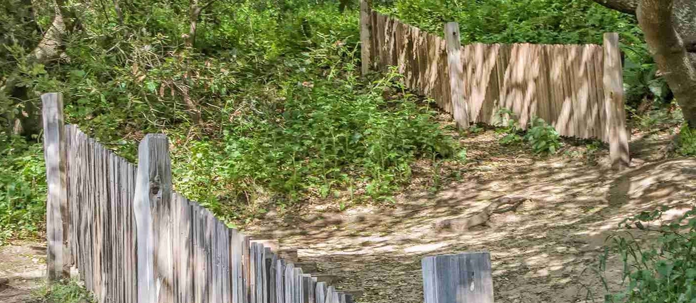 Martin H. Woodhead - Martin Woodhead - hartered Surveyor